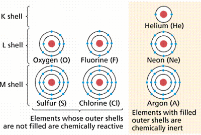Science | year ten | 10 | junior | Maroochydore High School