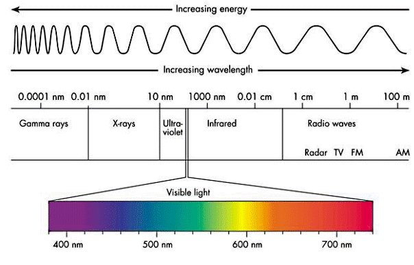 Science | year nine | middle junior | Maroochydore High School